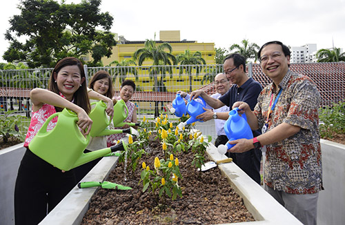 Be a Volunteer - IMH | Institute of Mental Health